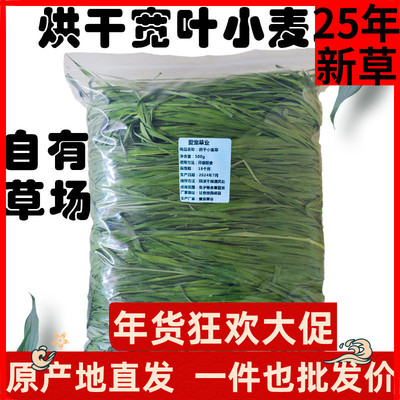 兔友热推宽叶小麦草岷县原产地发