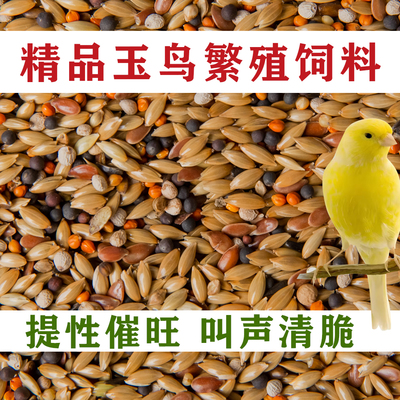 精品玉鸟黄雀营养鸟食金丝雀混合鸟粮麻料金翅芙蓉鸟金青黄巧饲料