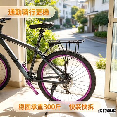自行车后货架载重300斤单车尾架
