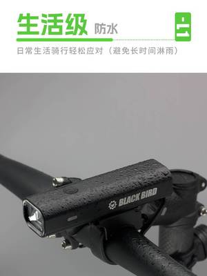 黑鸟Blackbird公路山地自行车德规车前灯夜骑充电亮远射手电筒