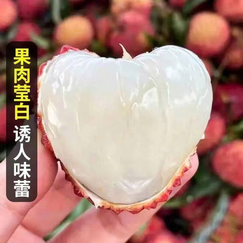 福建漳州红灯笼荔枝新鲜现摘脆甜多汁肉多核小礼盒装顺丰包邮