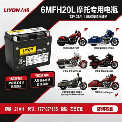 力扬大容量电瓶适配印第安首领/印第安挑战者/印第安酋长/酋长