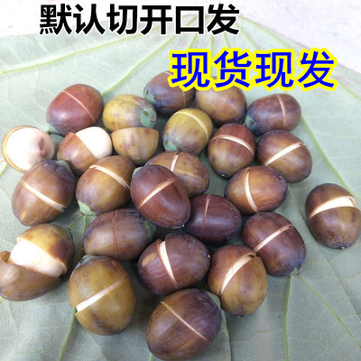 江西广昌大颗粒老莲子米 2026当季新鲜现摘成熟开口莲子 熟食粉糯
