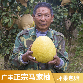 马家柚马家柚薄利多销厂家直发