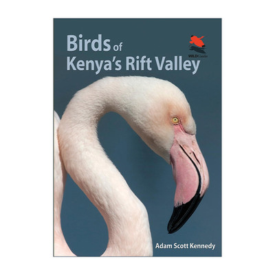 英文原版 Birds of Kenya's Rift Valley 肯尼亚大裂谷的鸟类 观鸟指南 Adam Scott Kennedy英文版 进口英语原版书籍