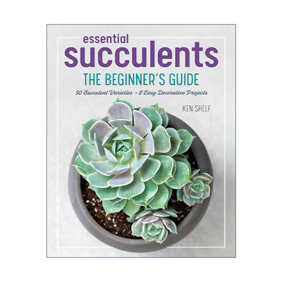 英文原版 Essential Succulents 多肉植物基本初学者指南 种植与照顾技巧 英文版 进口英语原版书籍