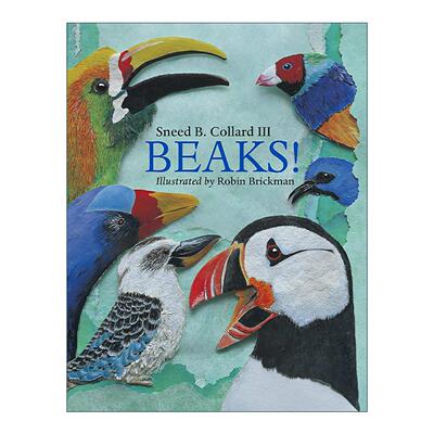 英文原版 Beaks 鸟喙 儿童动物科普百科绘本 Sneed B. Collard III 英文版 进口英语原版书籍