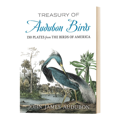 奥杜邦鸟类宝库 来自美国鸟类的130个盘子 Treasury of Audubon Birds 英文原版艺术画册读物 进口英语书籍