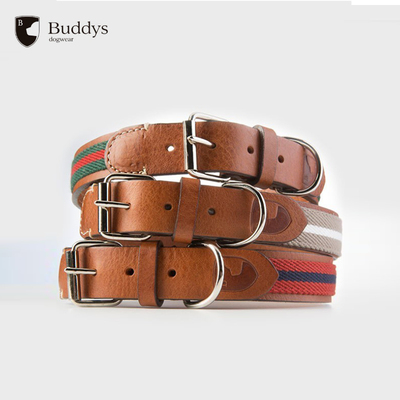 Buddys西班牙真皮宠物项圈牵引