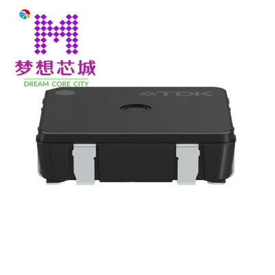 B82453C 300A B82453C 335A 22 B82453C0203A000