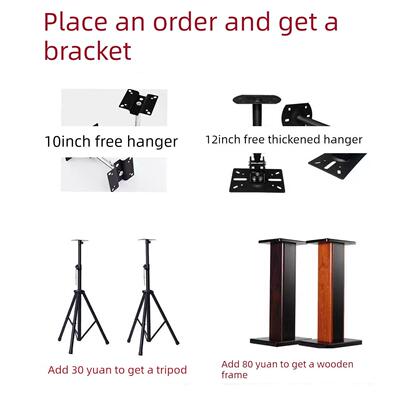 BMB CSN-510专业10寸卡拉OK音箱KTV包房电视会议户外家用工程套装