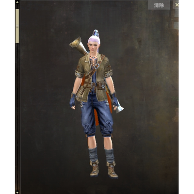 激战2冒险猫猫套装商城道具黑狮宝石含wegame