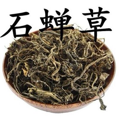 材石蝉草 野生石禅草 正品火伤叶 石婵草 胡椒草包邮真货
