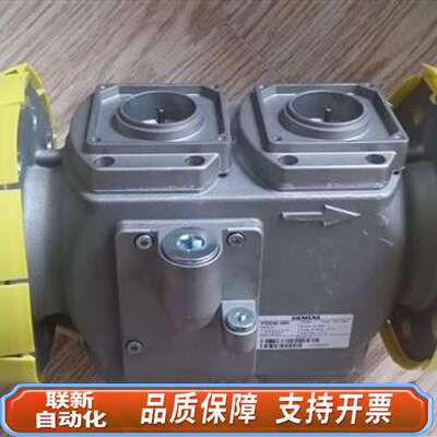 处理VGD20.503 VGD20.403燃气电磁