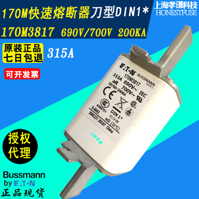 快速熔断器BUSSMANN170M3817