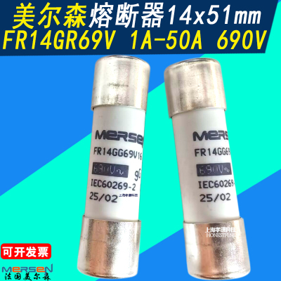 FR14GR69V8 FR14GR69V10 FR14GR69V12 FR14GR69V16 MERSEN保险丝