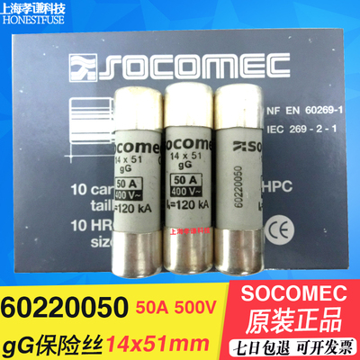 保险丝法国SOCOMEC溯高美