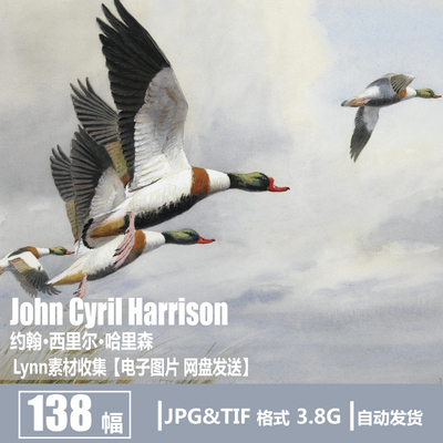 英国 约翰哈里森 John Cyril Harrison 电子图片禽鸟风景水彩素材
