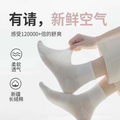 女士夏季薄款纯棉网眼中筒休闲袜