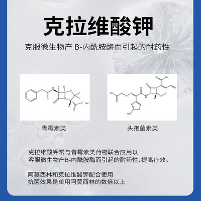 宠物消炎药猫狗感冒咳嗽腹泻尿血