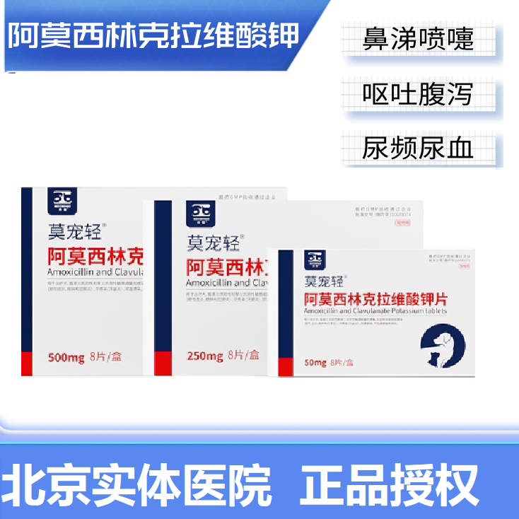 莫宠轻宠物阿莫西林克拉维酸钾猫狗消炎感冒咳嗽鼻涕猫鼻支