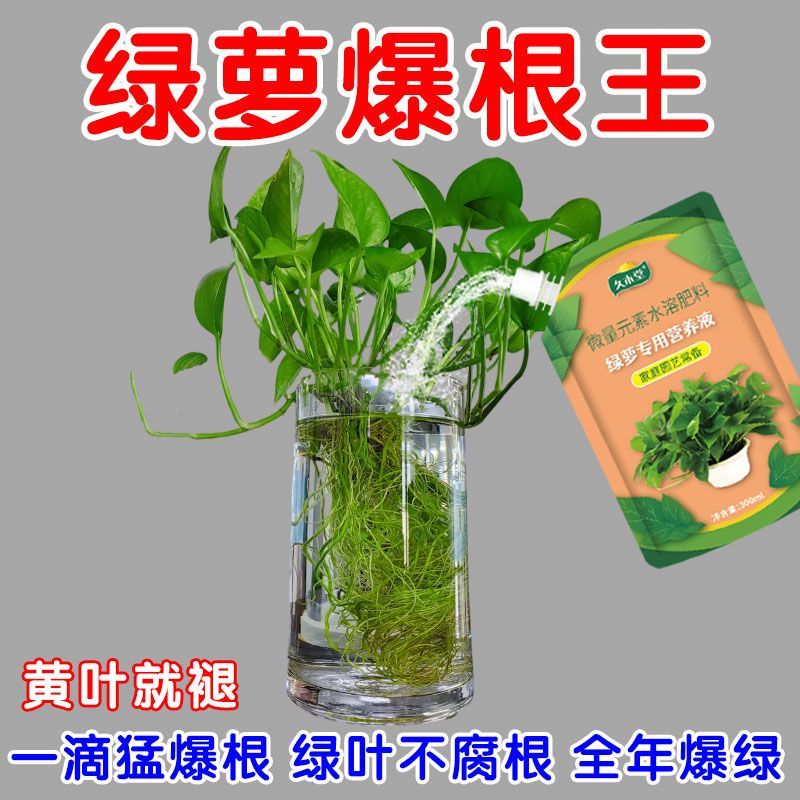 【救治】绿萝营养液水培肥料专用叶子发黄催新芽促长新型肥料