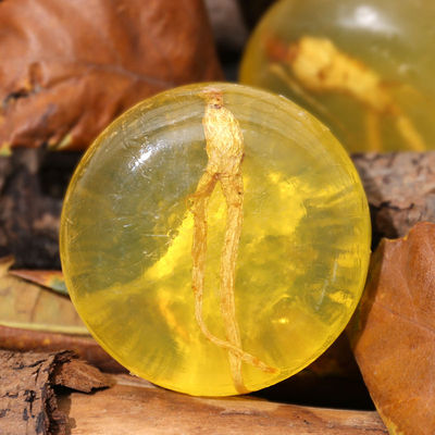 朵朵佳清洁苦参通用净螨