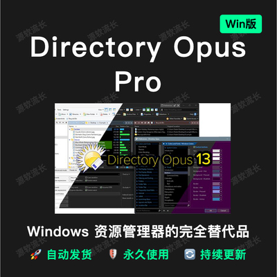 Directory Opus Pro 13 专业版文件管理工具软件管理器 Windows版