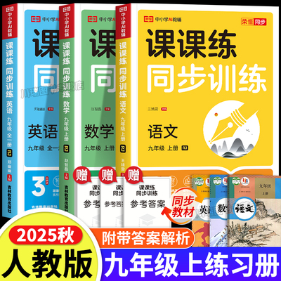 九年级下册课课练同步训练练习册