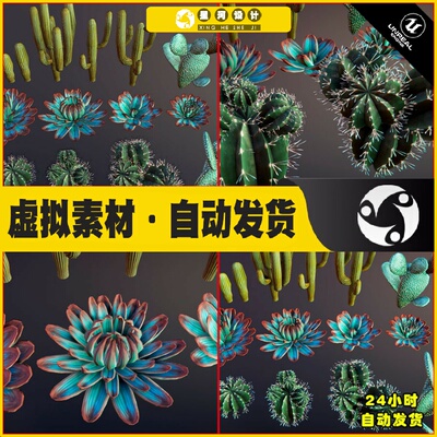 UE4虚幻5 Cacti 沙漠绿洲仙人掌水仙植物