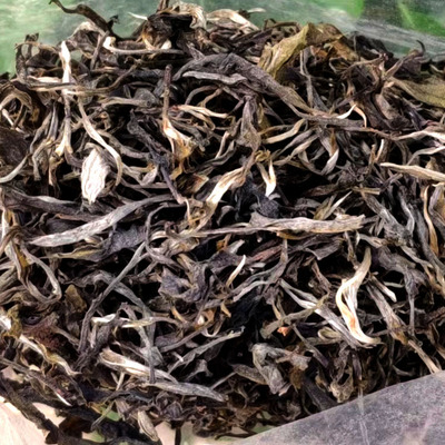 散装普洱生茶乔木老树春芽茶毛料
