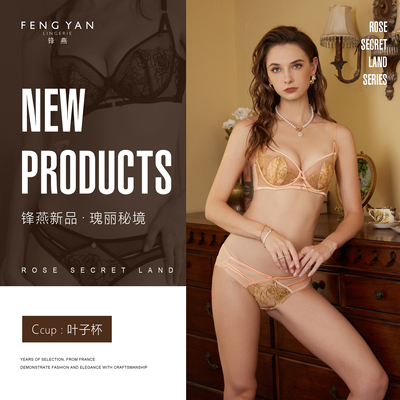锋燕新款C杯性感聚拢文胸女士