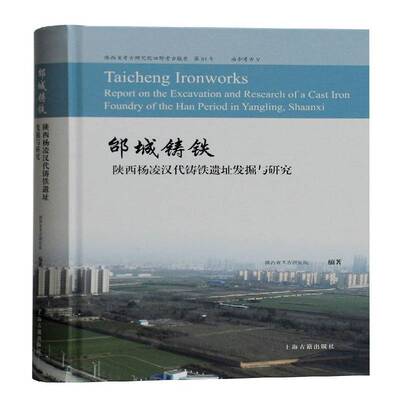 邰城铸铁:陕西杨凌汉代铸铁遗址发掘与研究:report on the excavation 陕西省考古研究院 铁器研究县汉代 历史书籍上海古籍出版社