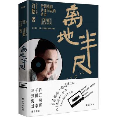 【正版现货】离地半尺 梦回我们兵荒马乱的青春 许愿 著流行音乐摇滚创作历程音乐人随笔乐评流行歌曲歌坛台海出版社