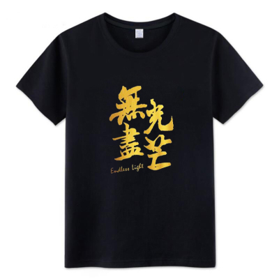 无尽光芒许巍同款短袖T恤巡回演唱会歌迷周边摇滚衣服纯棉宽松潮