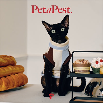 撞色两穿弹力针织背心Petapest