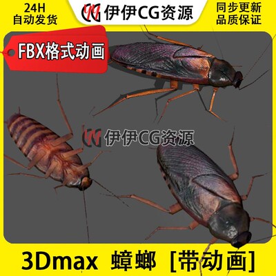 3D模型3DMax动物蟑螂昆虫小强蜚蠊灶蚂子FBX动画文件cockroaches