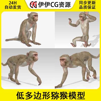 Macaque 低多边形猕猴带动画角色模型 虚幻UE5.2
