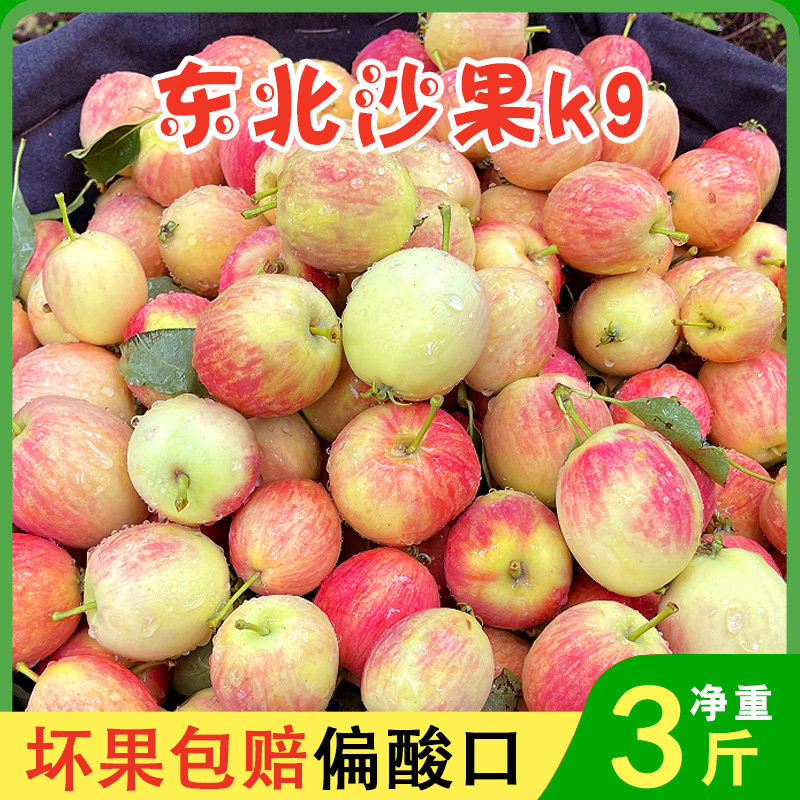 东北k9沙果小苹果新鲜水果海棠果花红果鸡心果孕妇水果3斤5斤包邮