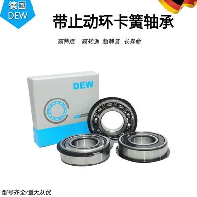 德国DEW进口带卡簧止动环轴承6306 6307 6308 6309 6310 ZZ RS NR