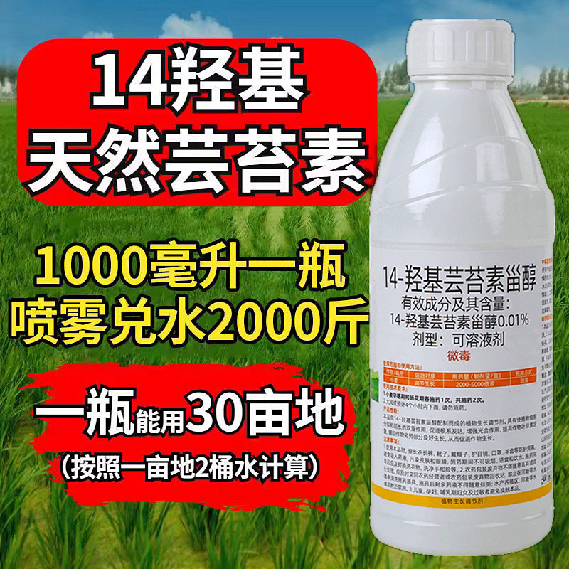14一羟基芸苔素甾醇保花保果增产解药害果树蔬菜植物生长调节剂