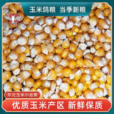 玉米精选鸽粮50斤江浙沪包邮