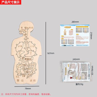 消化系统木趣味人体器官认知模型科技小制作手工diy简易自制 G40