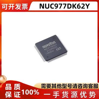 NUC977DK62Y微控制器芯片