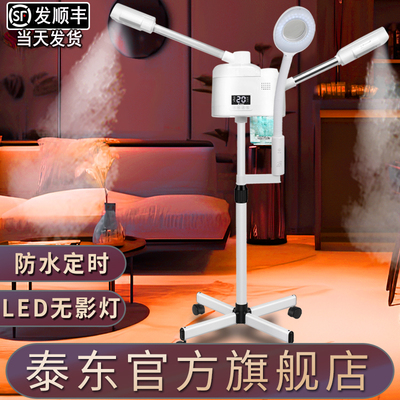 泰东冷热喷雾机热喷仪美容院专用双喷蒸蒸脸仪家用器机脸部喷雾器