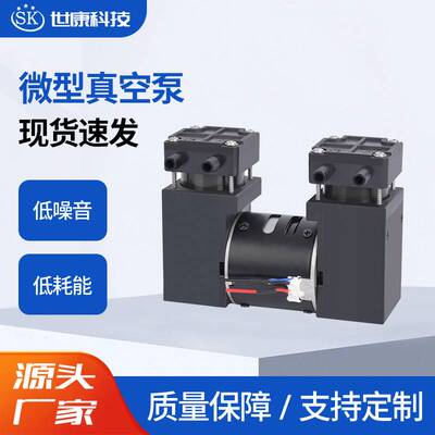 2AP51-3微型隔膜泵水泵无刷活塞压力家电双头膜片增压真空泵