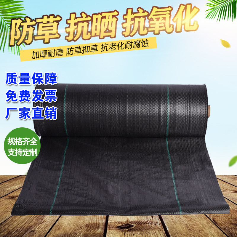 防草布园艺无纺布地布除草布盖草抑草地膜透气保湿可降解果树果园