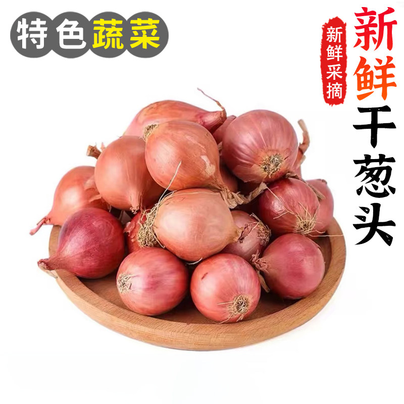 新鲜干葱头圆葱头红葱头珍珠洋葱蔬菜沙拉食材香料洋葱头调味调料