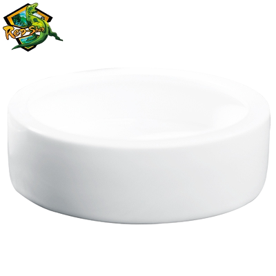 爬虫活体饲料防逃逸食盆