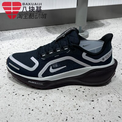 Nike耐克女鞋2025冬Pegasus 41飞马防水缓震运动跑步鞋FQ1357-401